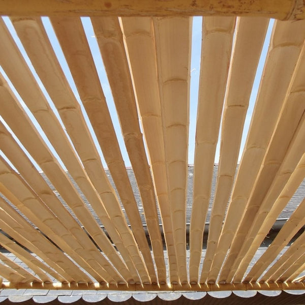 Bamboo Splitter: The Best Bamboo Splitter™: From 2 to 24 blades
